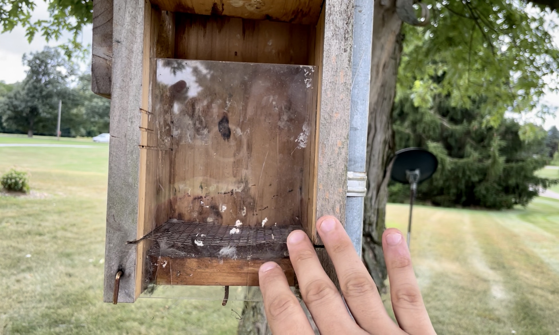 Best Bluebird House (Nest Box Recommendation) - Bluebird Landlord